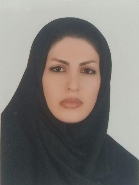 Index of /installerdoc